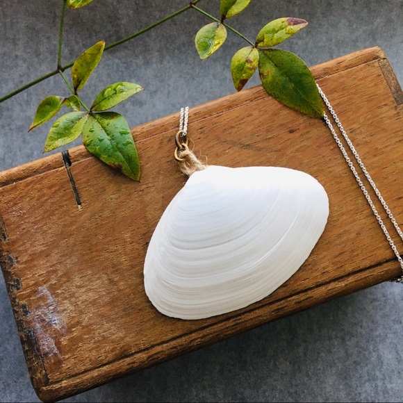 RLoveH | Jewelry | Newunworn Large White Shell Necklace Pendant 3 ...